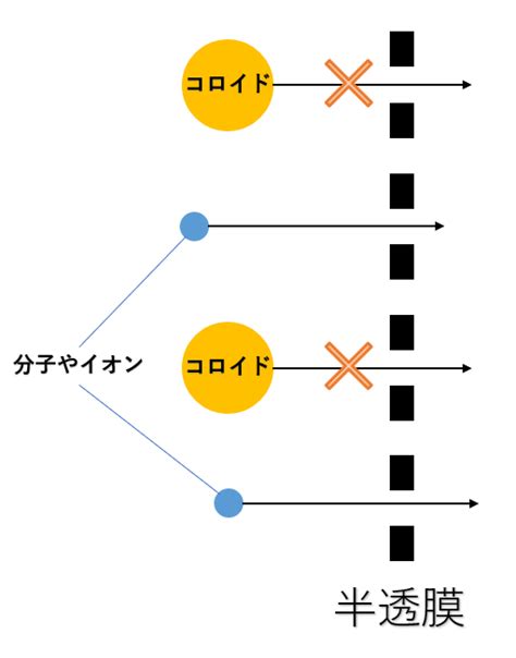 コロイド溶液とは（粒子・浸透圧） 理系ラボ