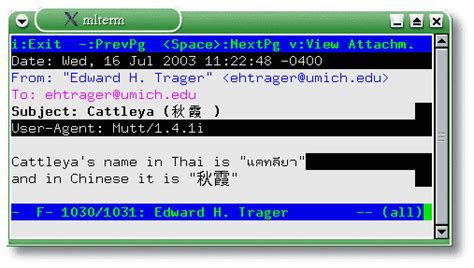 A Quick Primer On Unicode And Software Internationalization Under Linux And Unix