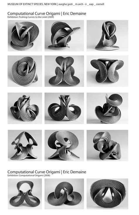 Museum Of Extinct Species Computational Curve Origamieric Demaine