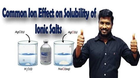 Understanding The Impact Of The Common Ion Effect On Acid Ionization Pogil Answer Key Revealed