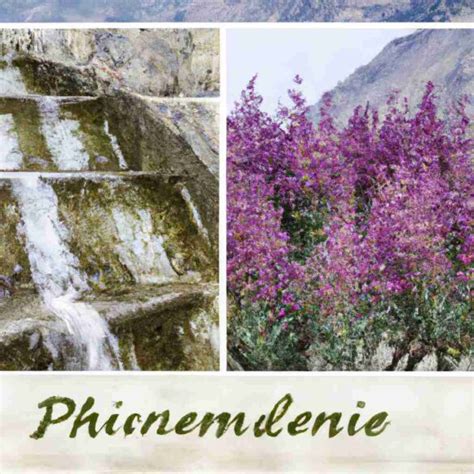 Differenza Tra Eps E Xps Caratteristiche E Vantaggi Dei Pannelli Isolanti 4a Arreda