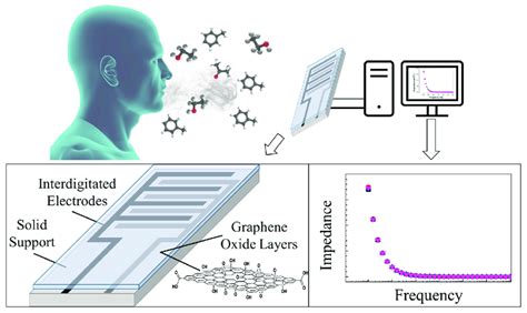 Schematic Of A Generic System Based On Graphene Sensors For Exhaled Air Download Scientific