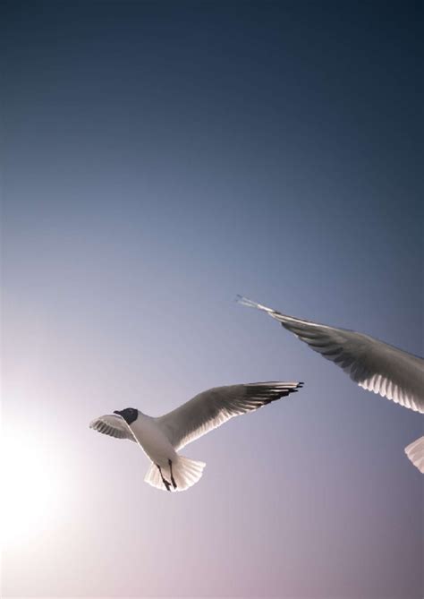 Midterm Lecture Notes Midterms Unit 2 Business Communication Lesson 1 Business Communication