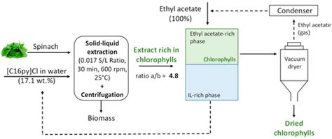 Chlorophylls Extraction From Spinach Leaves Using Aqueous Solutions Of