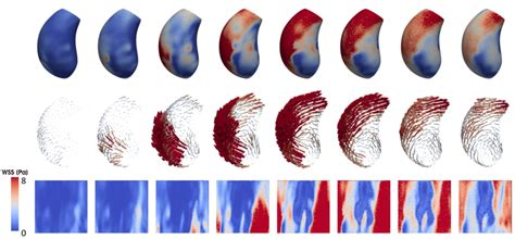 Wall Shear Stress Wss Magnitude Colormaps Row 1 And Wss Vectors