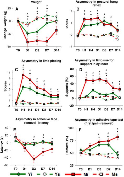 Age Dependence Of Sensorimotor And Cerebral Electroencephalographic