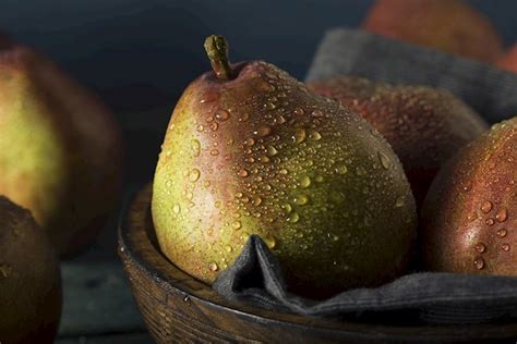 Pome Fruits Of The World 100 Best Pome Fruits Pome Fruit Types