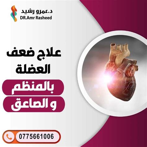 علاج ضعف العضلة بالمنظم و د عمرو رشيد Dr Amr Rasheed