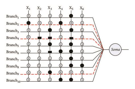 The Dendritic Morphology Of The Qualitative Bankruptcy Data Set After