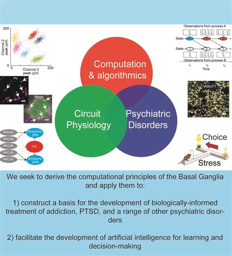 Brain Computation Lab