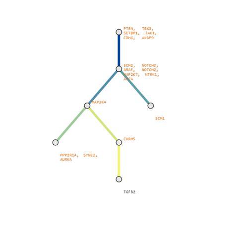 visualizing clonal trees