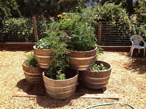 Wine Barrel Planter For Your Garden