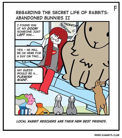 Bunnylove On Tumblr