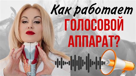 Как работает голосовой аппарат Youtube