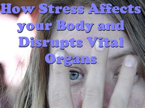 How Stress Affects Your Body And Disrupts Vital Organs Prcvir