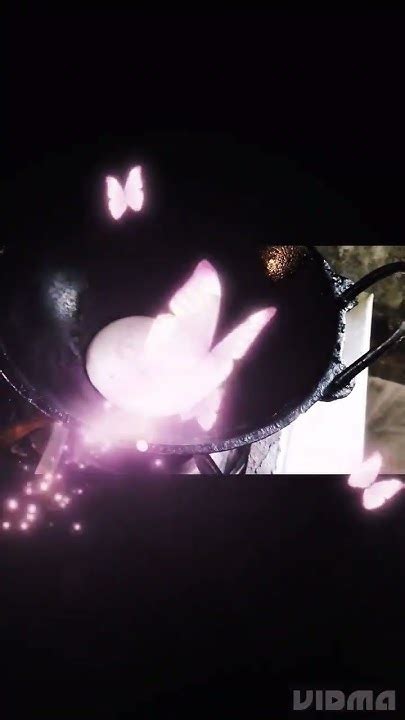 Phetha Tandingshort Youtube