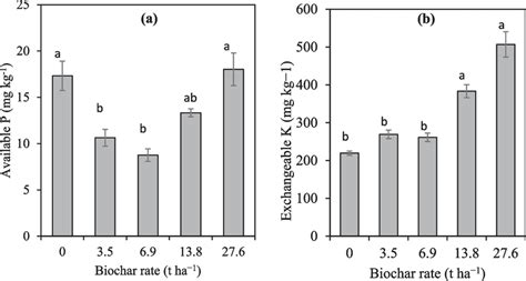 The Effect Of Biochar And Fertilizer Treatments On The Available P A