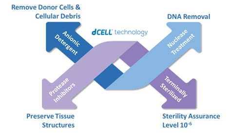 Dcell Technology Decellularized Dermal Allografts
