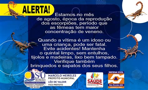 Prefeitura De São Romão Site Da Prefeitura Municipal De São Romão