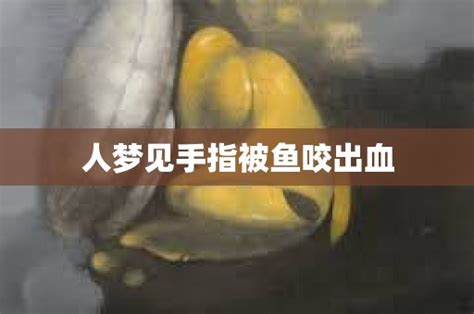 人梦见手指被鱼咬出血 命理解梦