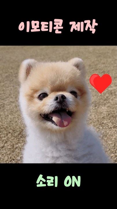 강아지 이모티콘 프로젝트 쇼츠 Shorts 이모티콘만들기 이모티콘 Youtube