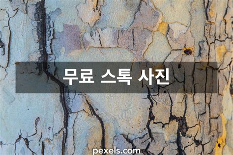 60000개의 최고의 갈라진 벽 사진 · 100 무료 다운로드 · Pexels 스톡 사진