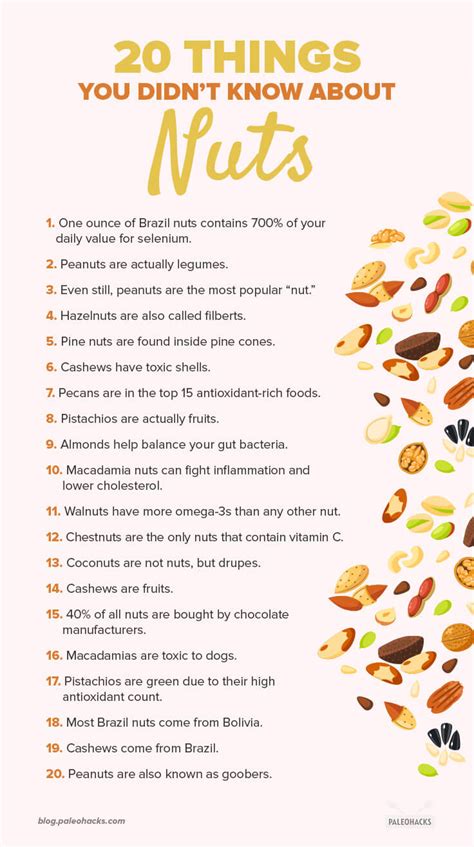 20 Things You Didnt Know About Nuts Paleohacks Blog