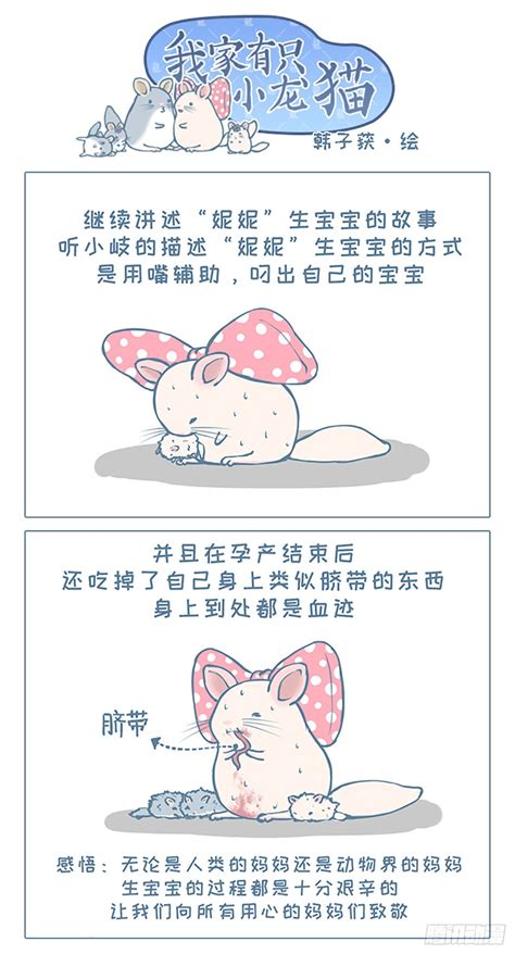 第78個小故事 我家有隻小龍貓 包子漫畫