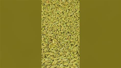 السنوت ~نعيم الصحه Youtube