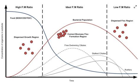 Activated Sludge Example Problems Find Essential Templates For Success