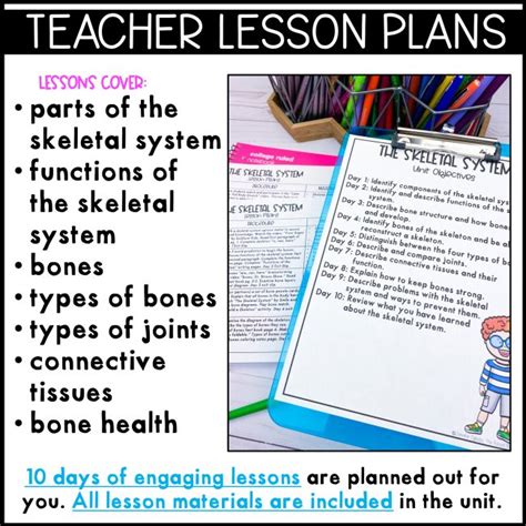 Skeletal System Complete Unit Skeletal System Labeling Bones Body Systems The Rocket