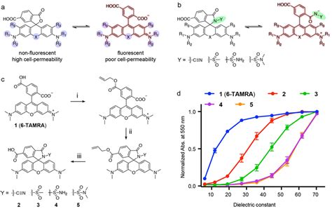 Design Strategies For Developing Cell Permeable Fluorophores A