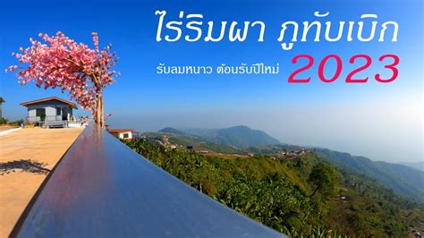 ไร่ริมผา ภูทับเบิก 2566 Youtube