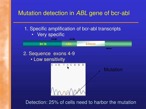 Ppt Resistance To Imatinib In Chronic Myelogenous Leukemia Cml Mutations And Beyond
