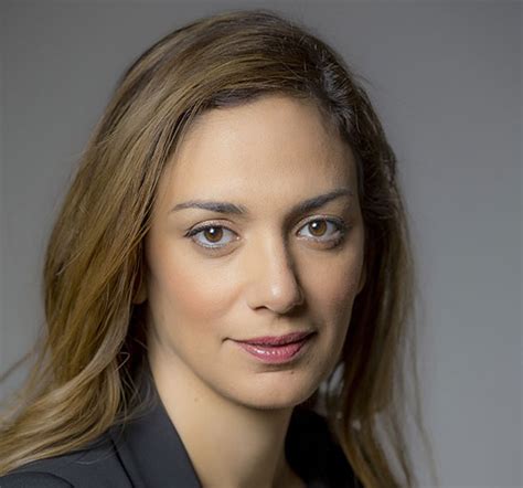 קרן פימי מציפה ערך במגזר החלל אך סובלת מקשיים בעסקי התעופה גלובס