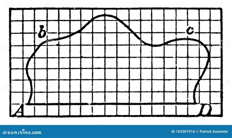 Area Of Odd Shapes Vintage Illustration Stock Vector Illustration Of