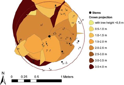 An Example Of A Circular Plot At The Vrchslatina Research Site