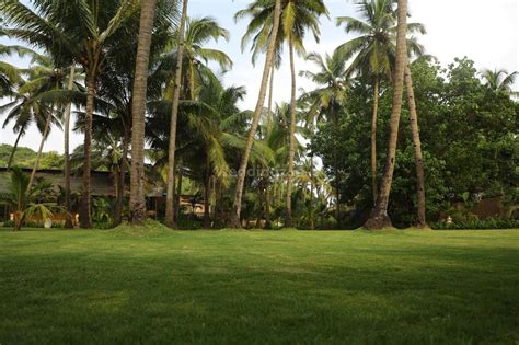 Riva Beach Resort Mandrem Goa Banquet Hall Wedding Lawn