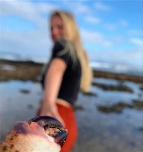 Psbattle Rooster Standing On Hawk Rphotoshopbattles