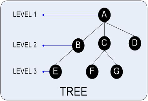 All About Data Structure Session 4 Introduction To Tree Binary Tree