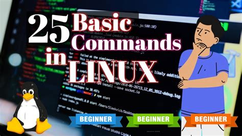 Clear The Kali Linux Basics With Linux Commands YouTube