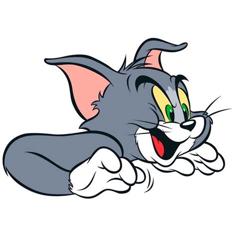 Funny Cartoon Cat Tom And Jerry