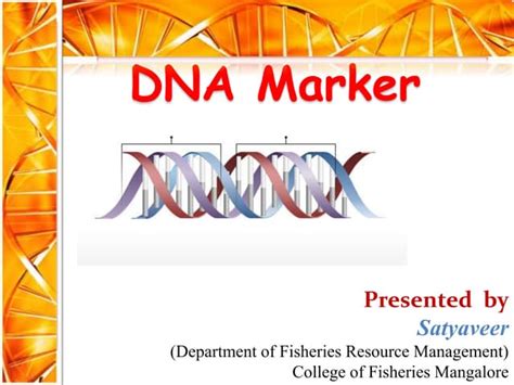 Dna Marker Ppt
