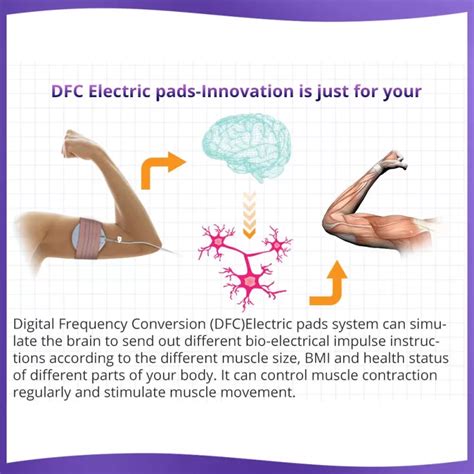 Digital Frequency Conversion Muscle Growing Best Ems Machine