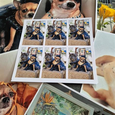 Photo Printing Passport Photo Id Photo Picture Printing A4 Size Prints