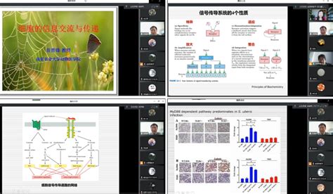 南京农大苗晋锋教授为动科动医学生授课 云南农业大学 新闻网