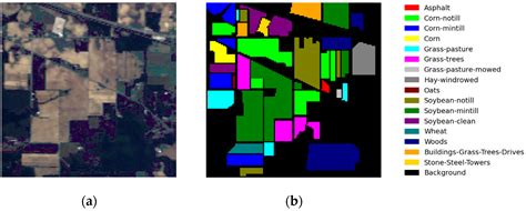 Remote Sensing Free Full Text The Classification Of Hyperspectral Images A Double Branch