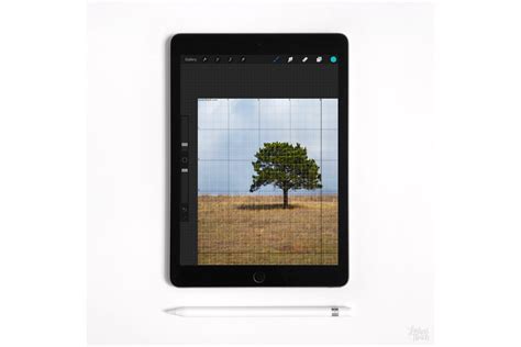 Procreate Grid Pack Grid Canvas Background Custom Canvas
