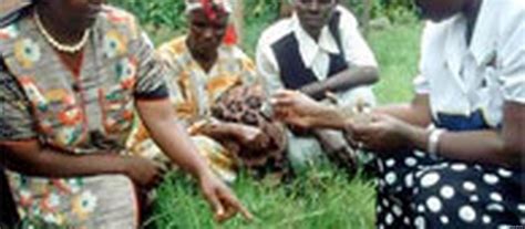 German Cut Circumcision