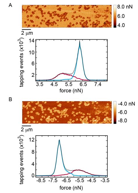 Reconstructed A Fmax Amd B Fmin Images With Histograms Of All The